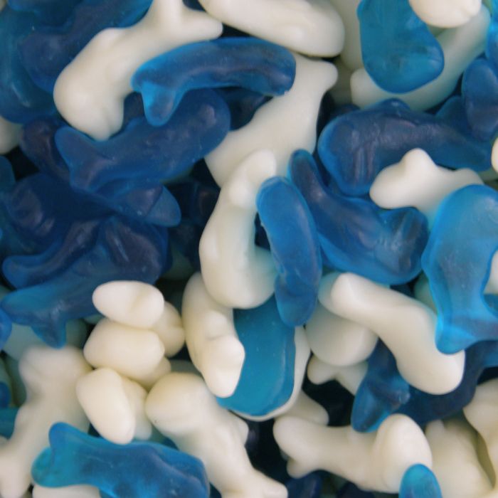 Buy Gummi Giant Dolphins 500g Online | Lolly Warehouse